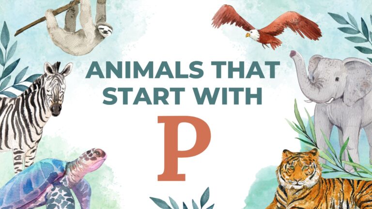 101 Animals That Start with P: From Swift Pumas to Striking Peacock ...